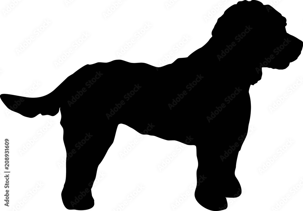 Cockapoo silhouette black Stock Vector | Adobe Stock