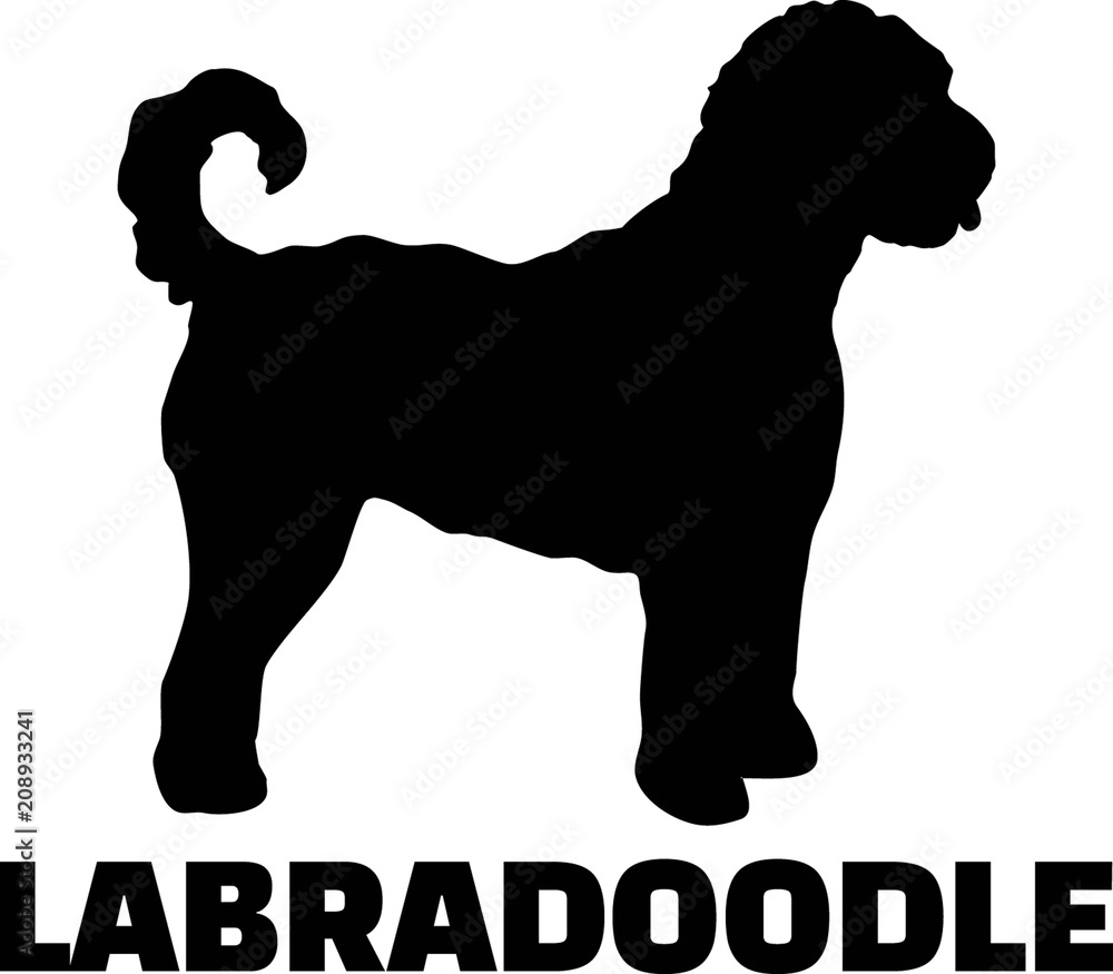 Labradoodle silhouette real word Stock Vector | Adobe Stock