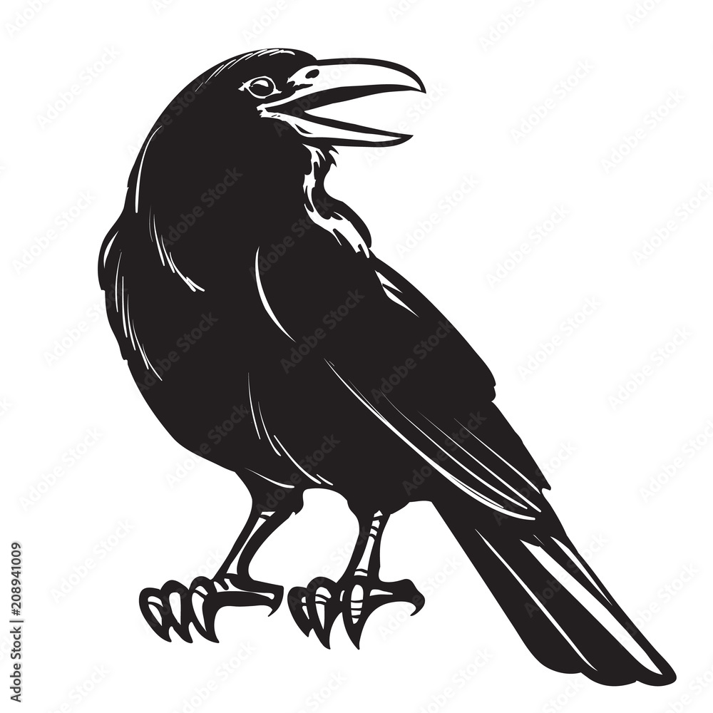Graphic black crow isolated on white background Stock Vector | Adobe Stock
