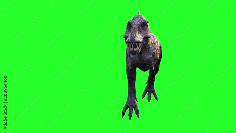 animate a running dinosaur Tyrannosaurus Rex 3d render on green ...