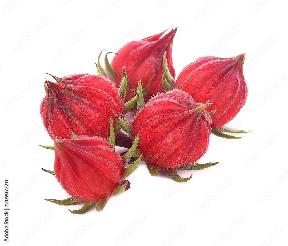 roselle isolated on white background Stock Photo | Adobe Stock