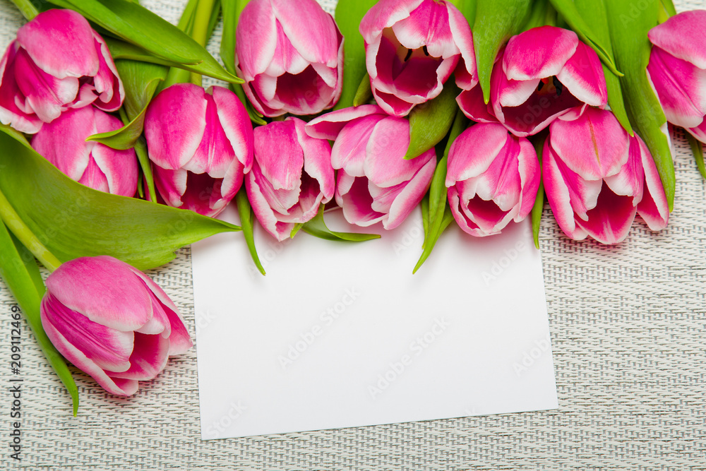 Tulip Background Paper