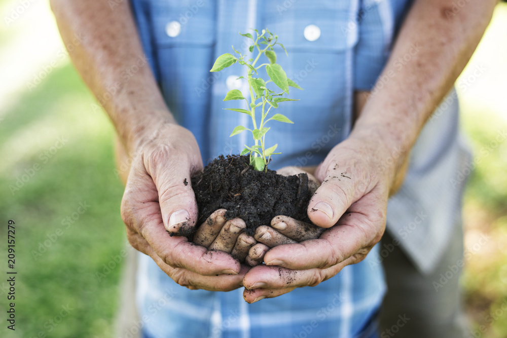 Family planting a new tree for the future Stock Photo | Adobe Stock