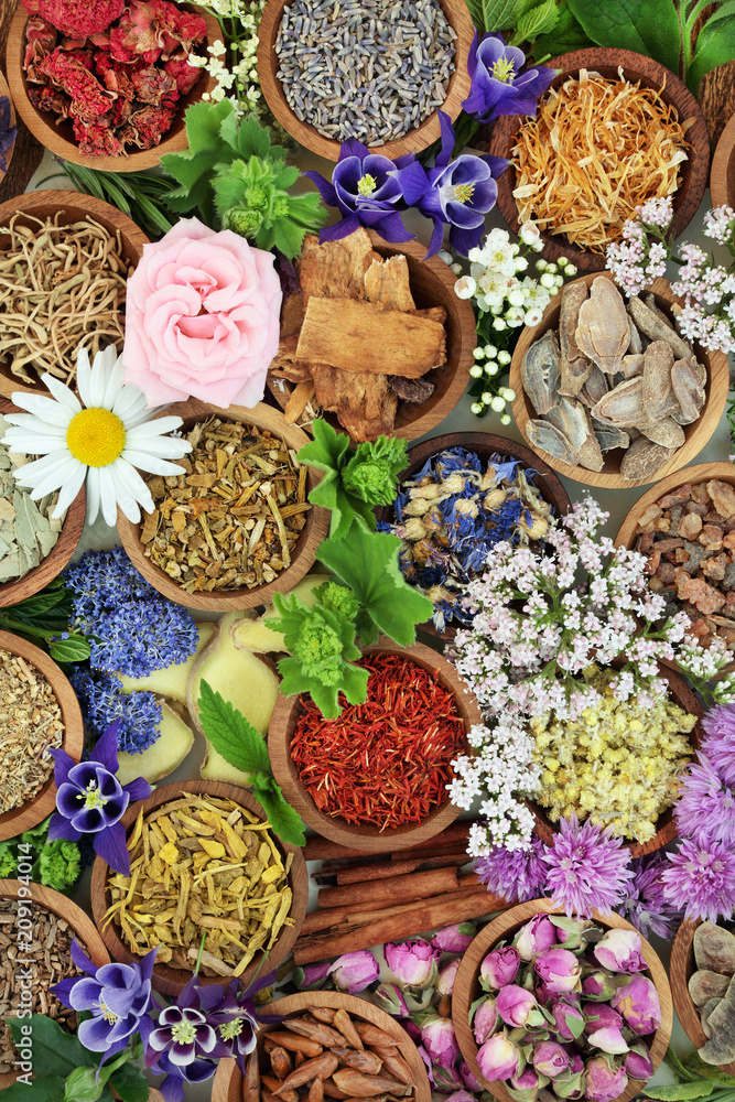 Herbal medicine background with flowers and herbs used in natural ...
