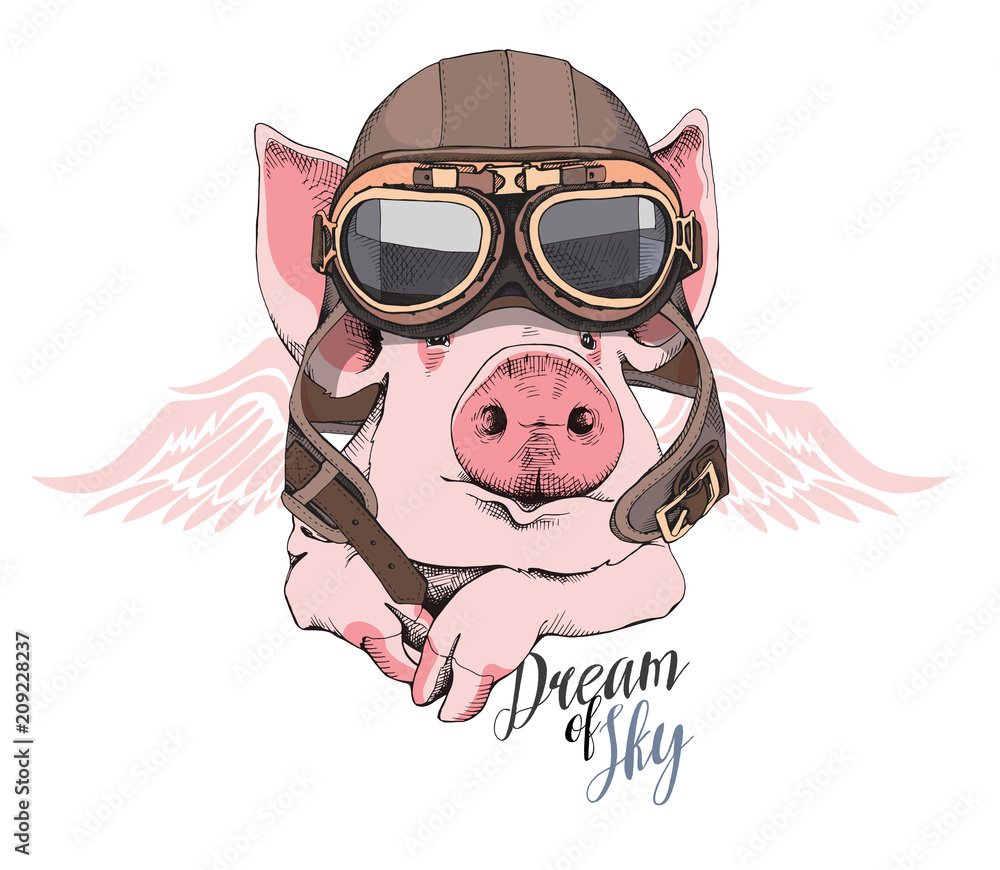 Funny Pig in a retro leather aviator helmet and with a wings. Vector ...