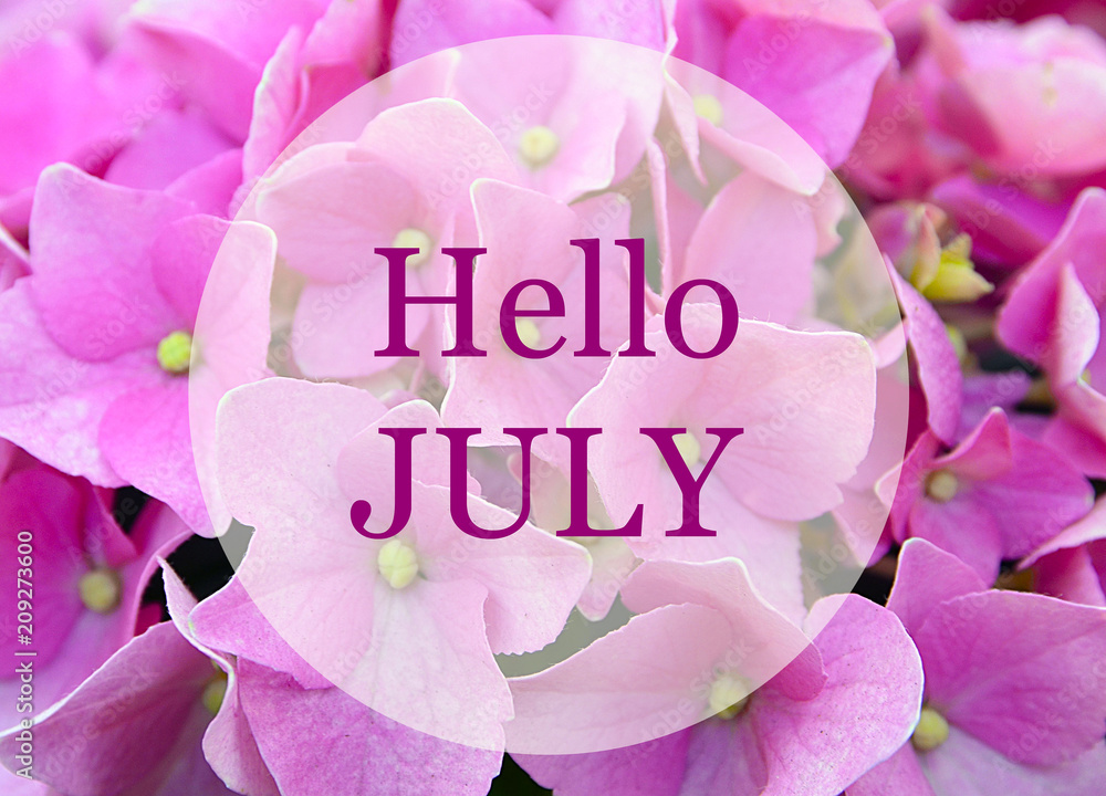 Hello July greeting on natural pink hydrangea flowers background.Summer ...