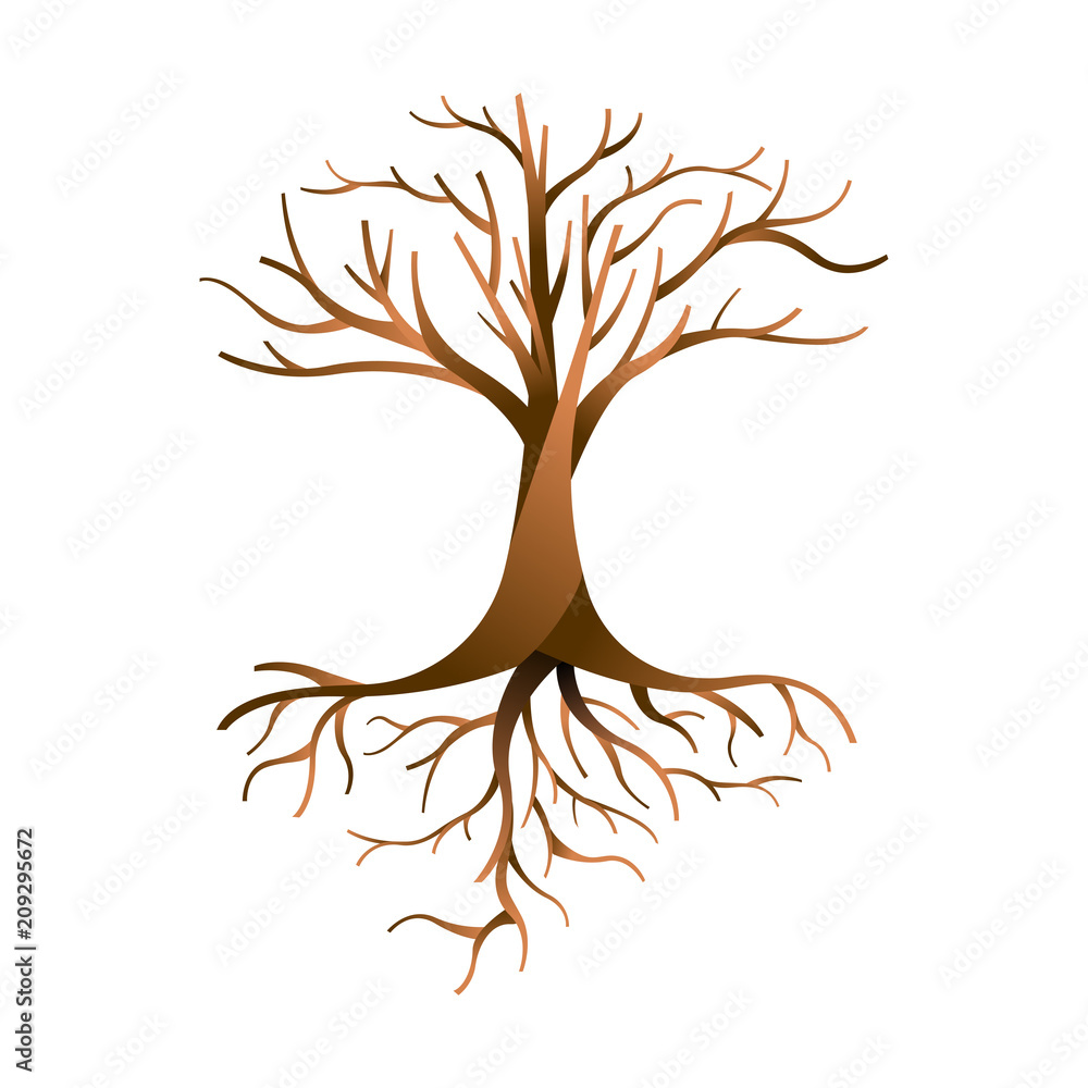 Real Tree With Roots And Branches