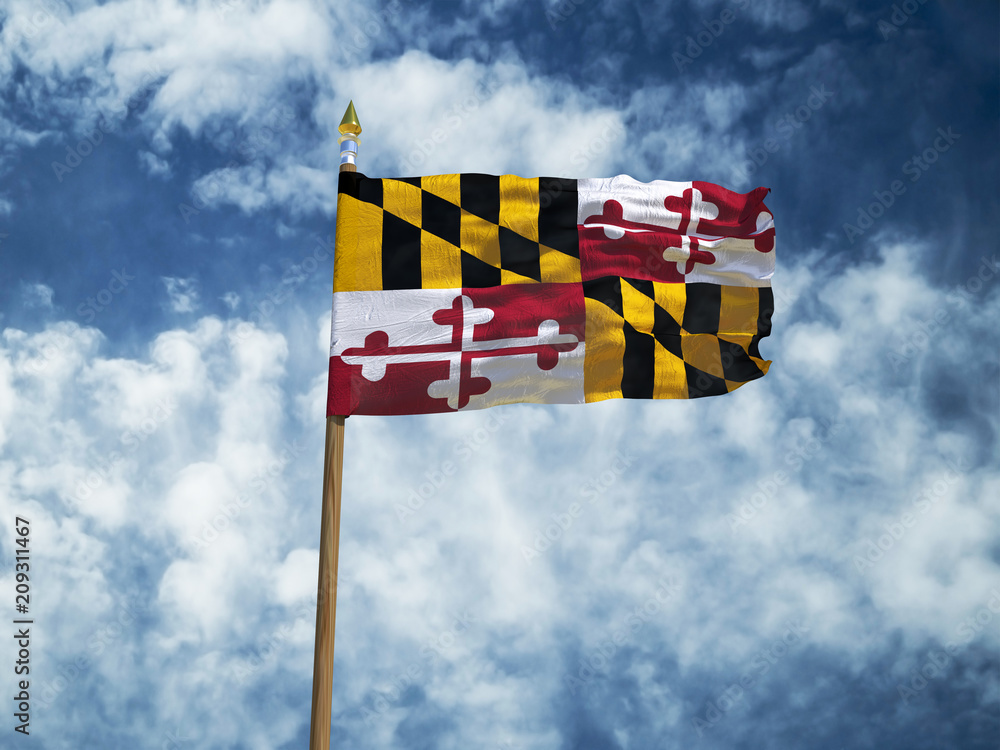 Maryland flag USA flag Silk waving flag made transparent fabric of ...