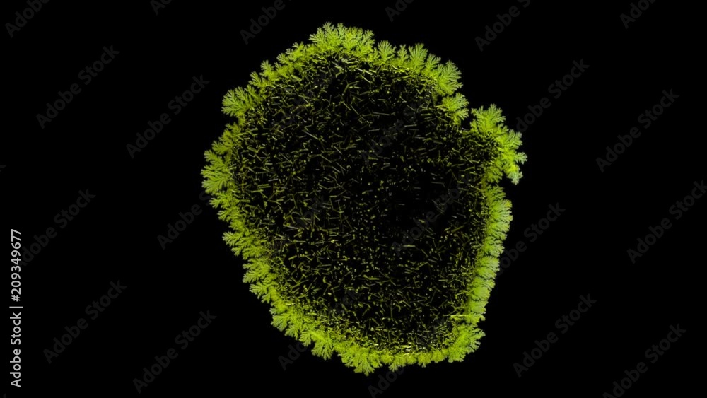 Drop drying with crystals growth. Potassium chromate. Time lapse of ...