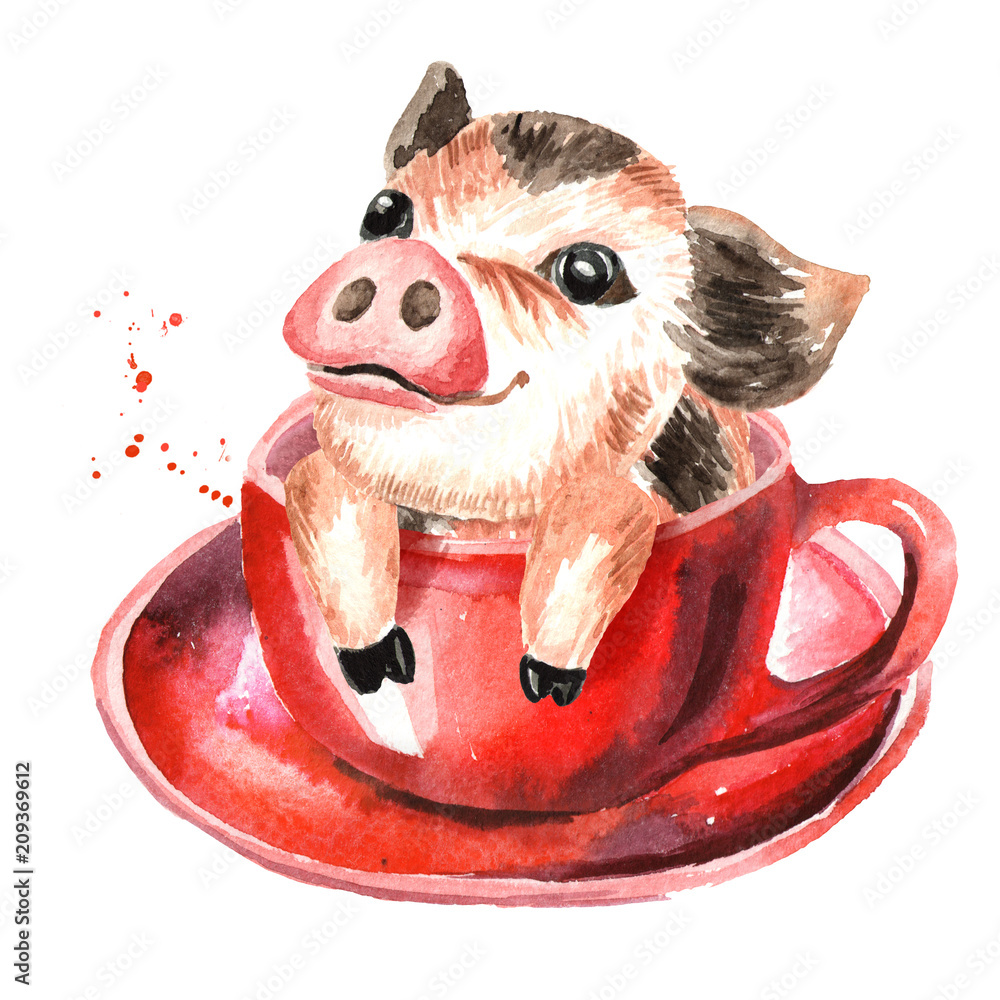 Cute Teacup Pigs Wallpaper