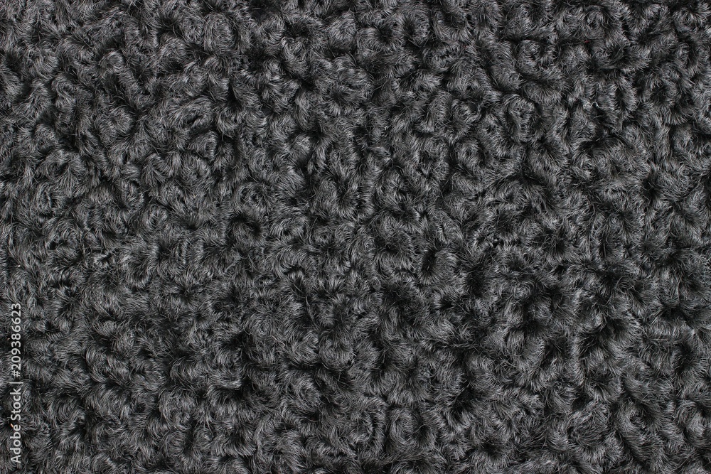 Texture of Karakul close-up Stock Photo | Adobe Stock