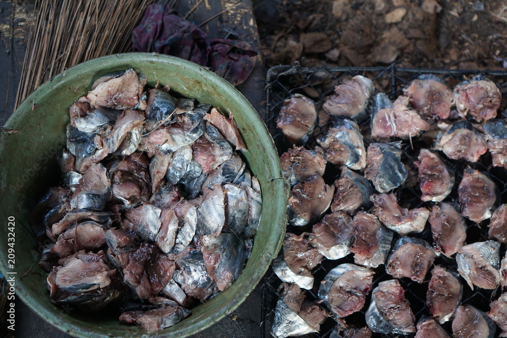 The sea catfish is a species of sea catfish known as manyung in ...