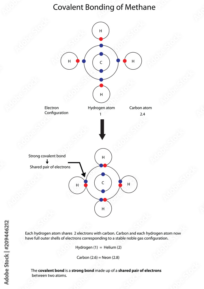 Vetor de Diagram to illustrate covalent bonding in methane with a fully ...