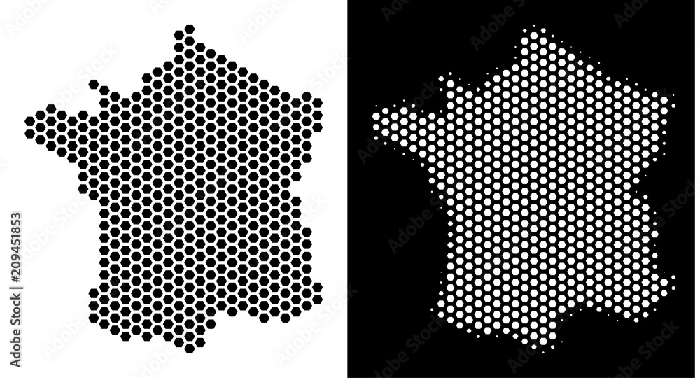 Hexagon France map. Vector territory plan in black and white versions ...