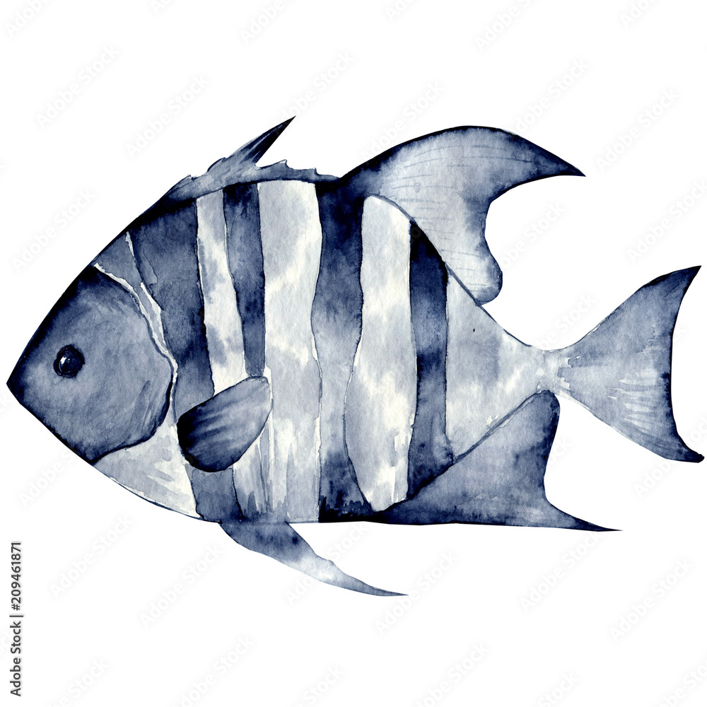 Tropical fish on a white background.Watercolor painting. Handmade ...