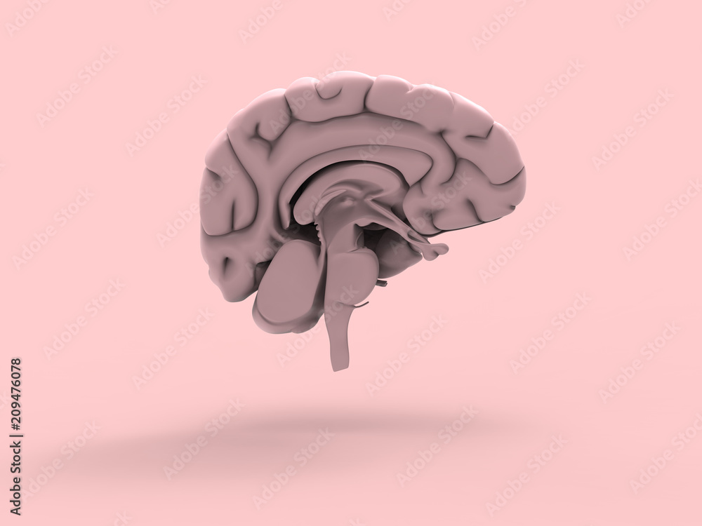 Human Brain Pastel 3D Render Stock Illustration | Adobe Stock