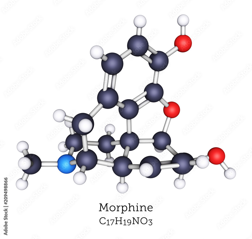 Ball-and-Stick Molecular Structure of Morphine Stock Illustration | Adobe Stock