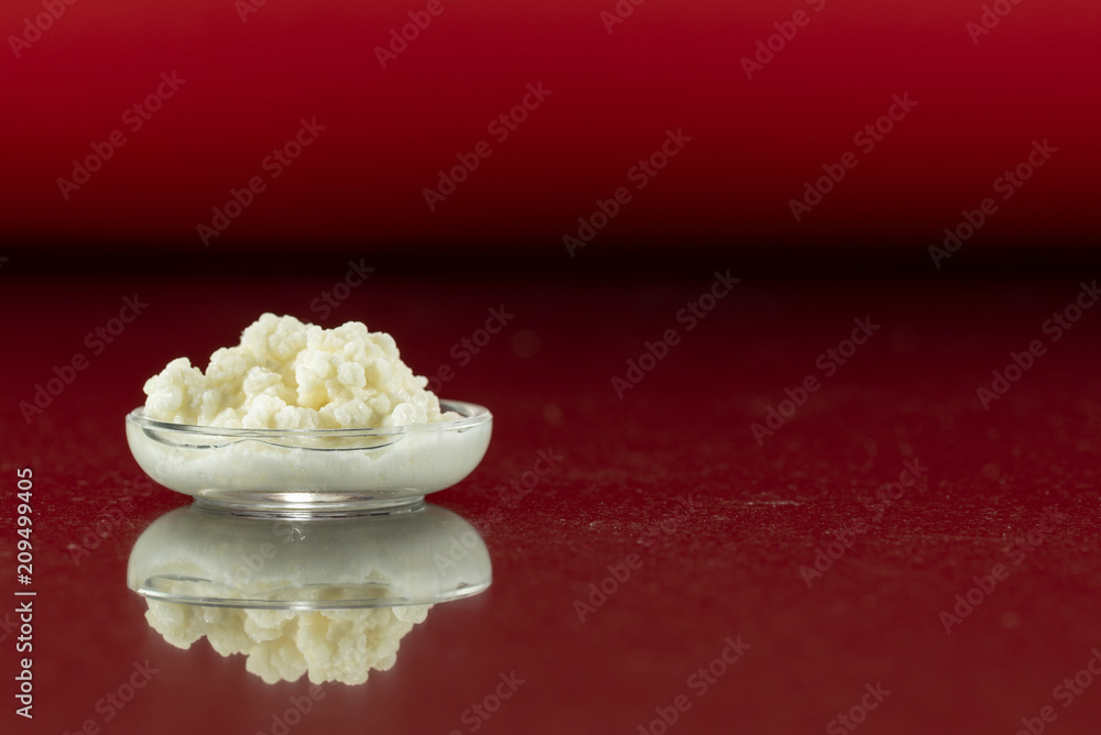 Making homemade milk kefir, kefir grains in a glass plate on red ...
