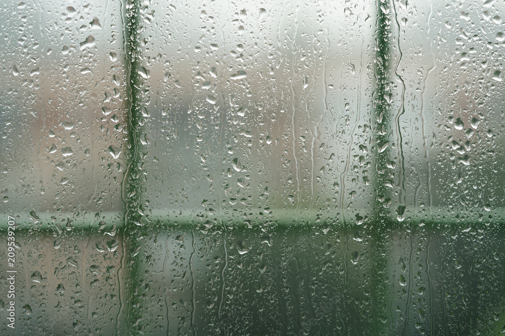 rain drops on a window with fence Stock Photo | Adobe Stock