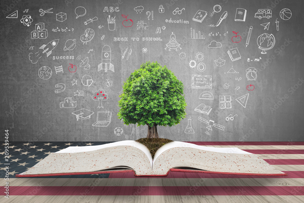 Tree of knowledge growing on open textbook with doodle onUSA flag wood ...