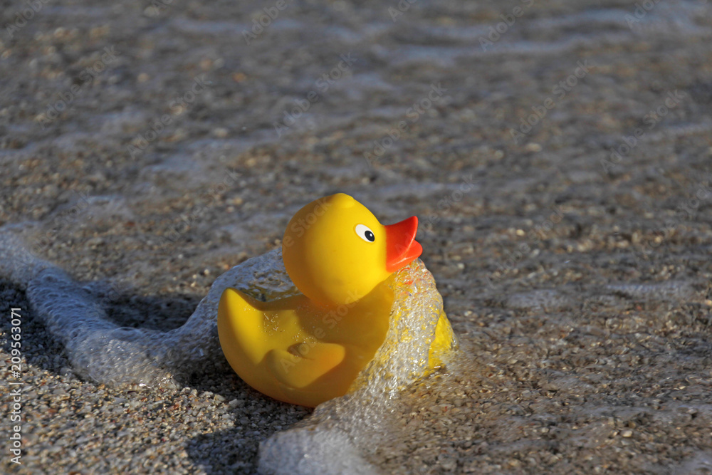 Badeente am Sandsrand Stock Photo | Adobe Stock