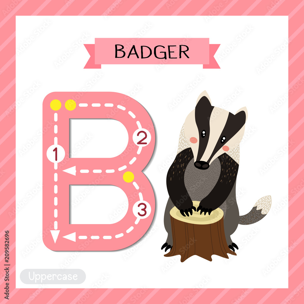Letter B uppercase cute children colorful zoo and animals ABC alphabet ...
