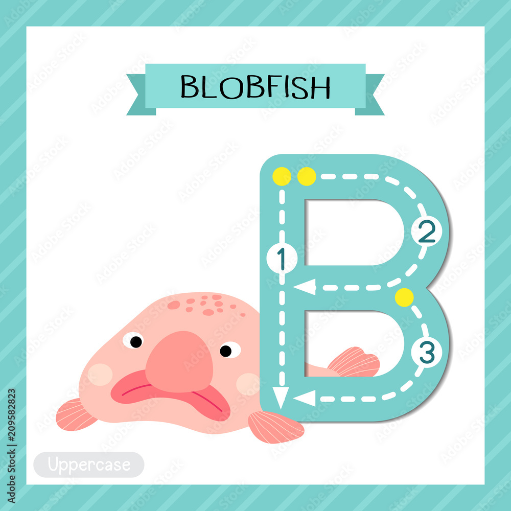 Letter B uppercase cute children colorful zoo and animals ABC alphabet ...