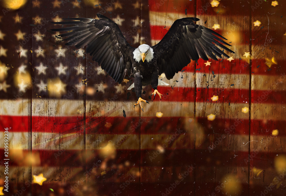 Bald Eagle flying with American flag Stock Photo | Adobe Stock