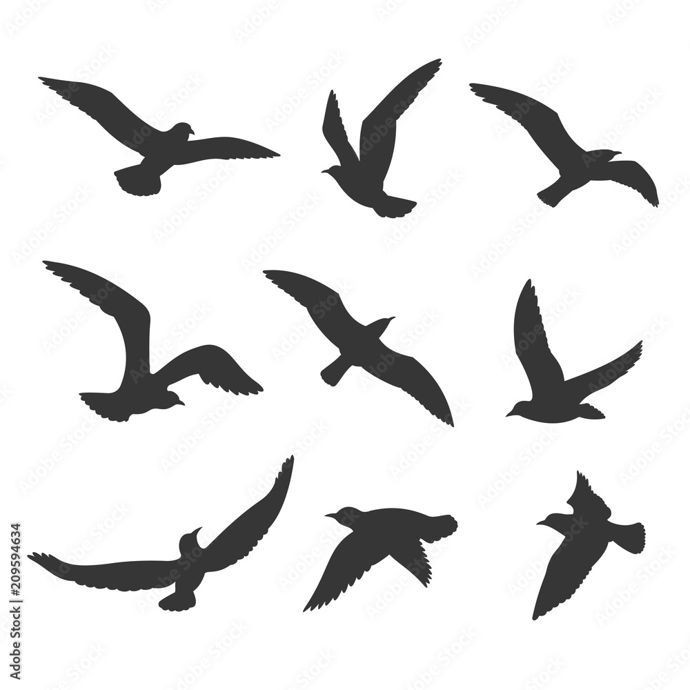 Soaring Bird Silhouette