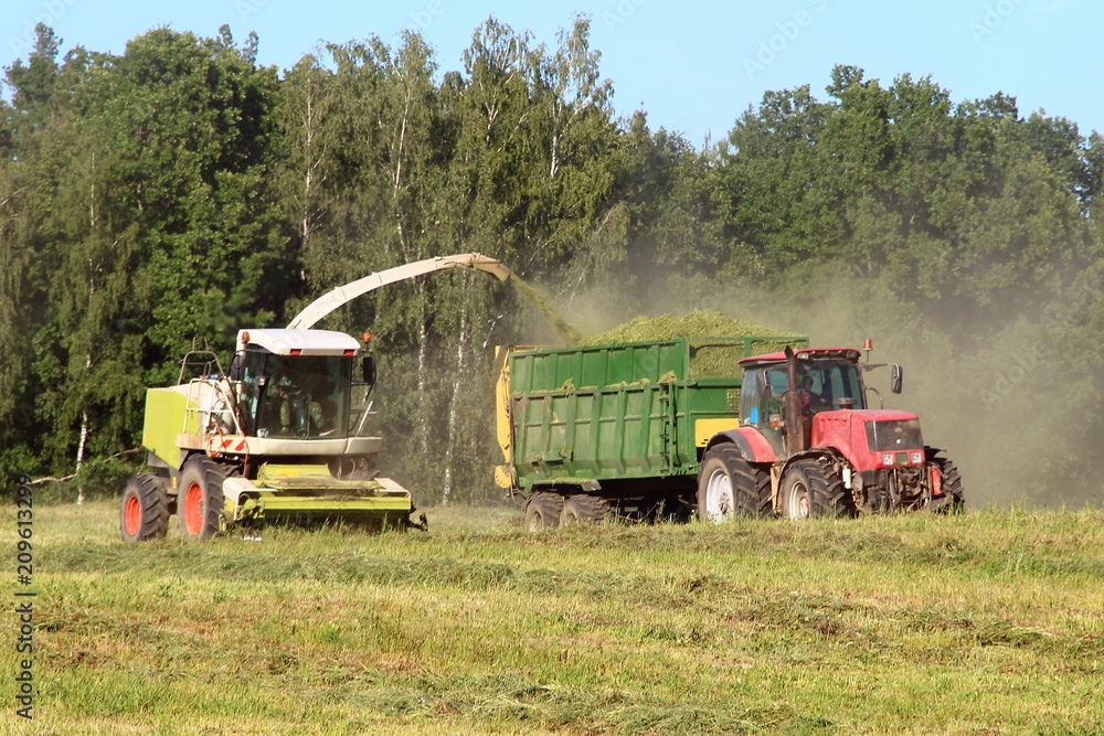 Agriculture, harvesting - yellow white combine harvester harvests ...