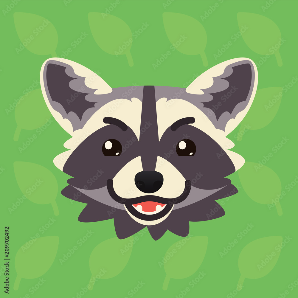 Evil Raccoon Cartoon