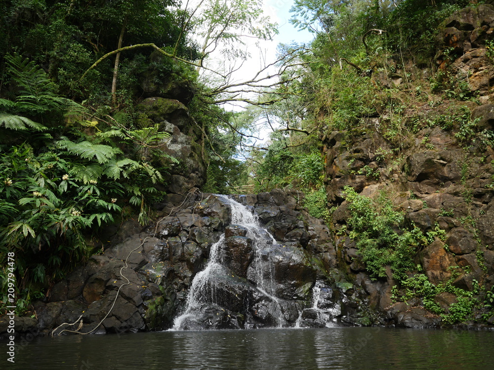 Ice Pond In Kalihi Valley