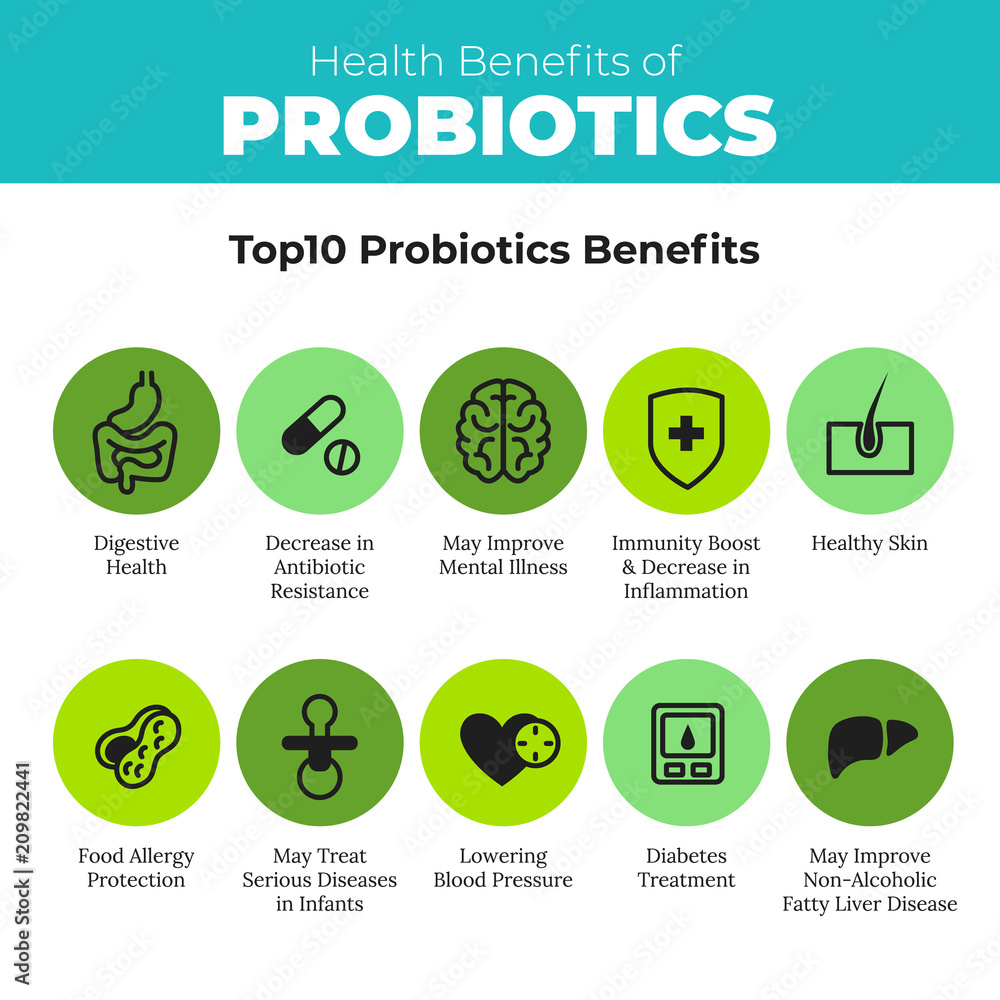 Probiotics health benefits vector infographic. Flat stroke illustration ...