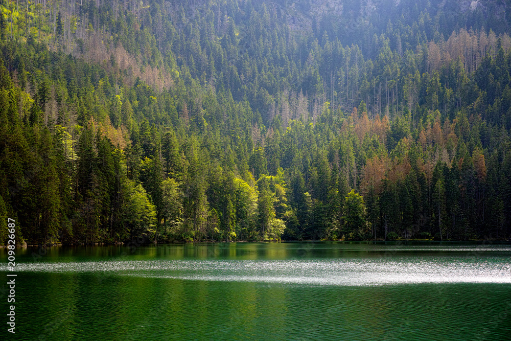 Glacial Black Lake (Cerne jezero) with crystal-clear water surrounded ...