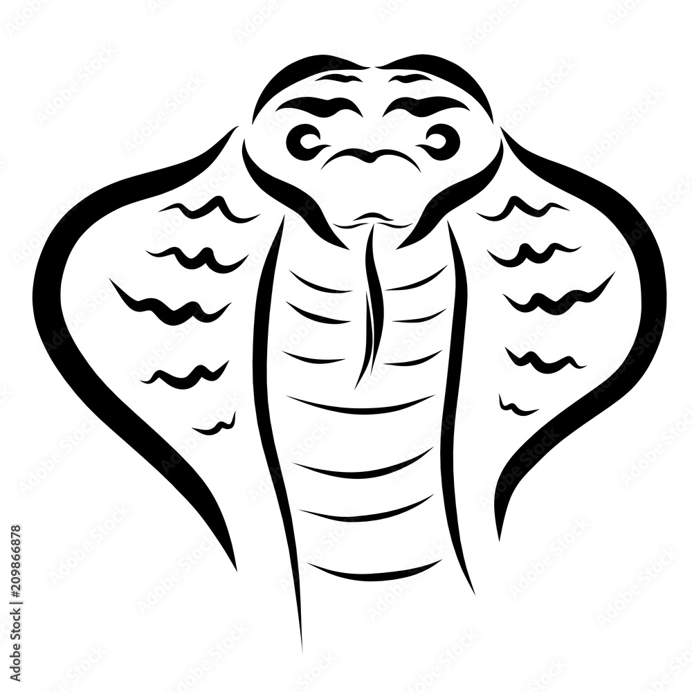 Cobra Head Drawings