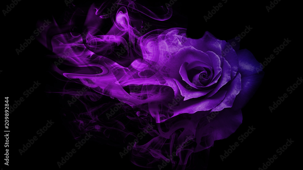Smoke rose from Stock Illustration | Adobe Stock