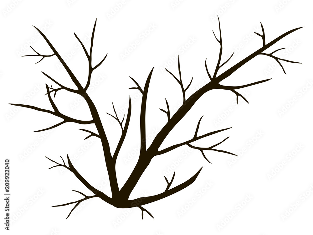 contour simple black branches branchy tree isolated on white background drawing object vector ...