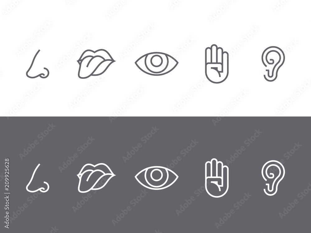 Set of symbols of the five senses Stock Vector | Adobe Stock