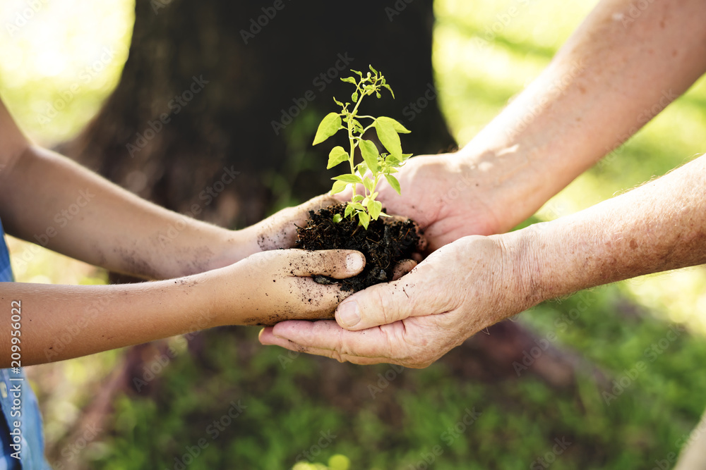 Family planting a new tree for the future Stock Photo | Adobe Stock