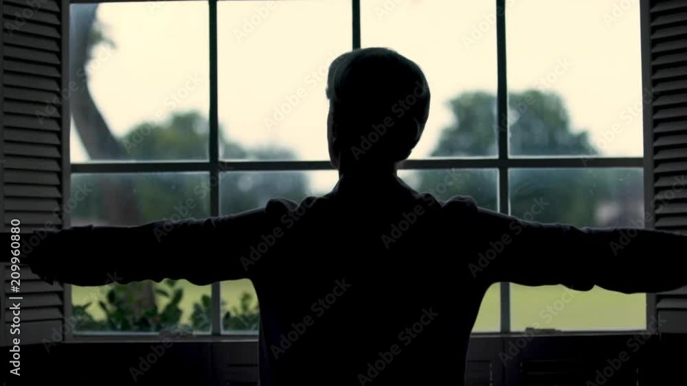 Vidéo Stock The silhouette of a woman who opens the shutters of a ...