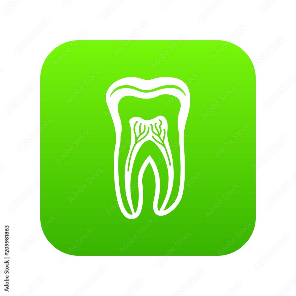 Tooth structure icon. Simple illustration of tooth structure vector ...