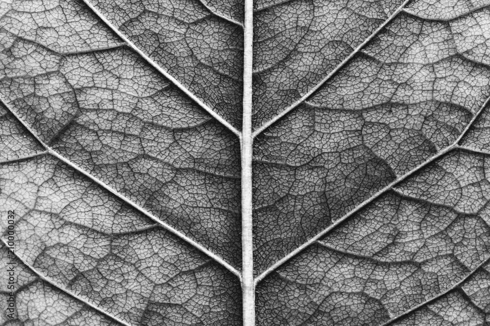 Drawabox.com | Lesson 2: Contour Lines, Texture and Construction by masa