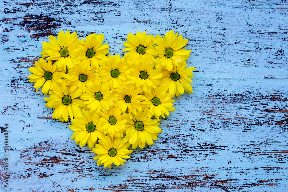 Images Of Daisy Flowers In Shape Of Heart