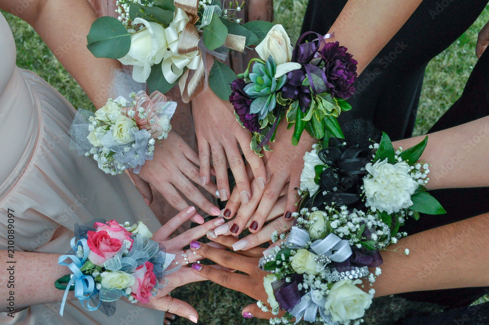 Besties go to Prom Stock Photo | Adobe Stock