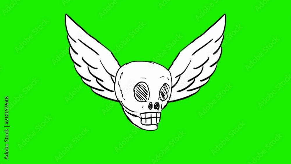 skull - 2d animated wings - green screen Stock Video | Adobe Stock