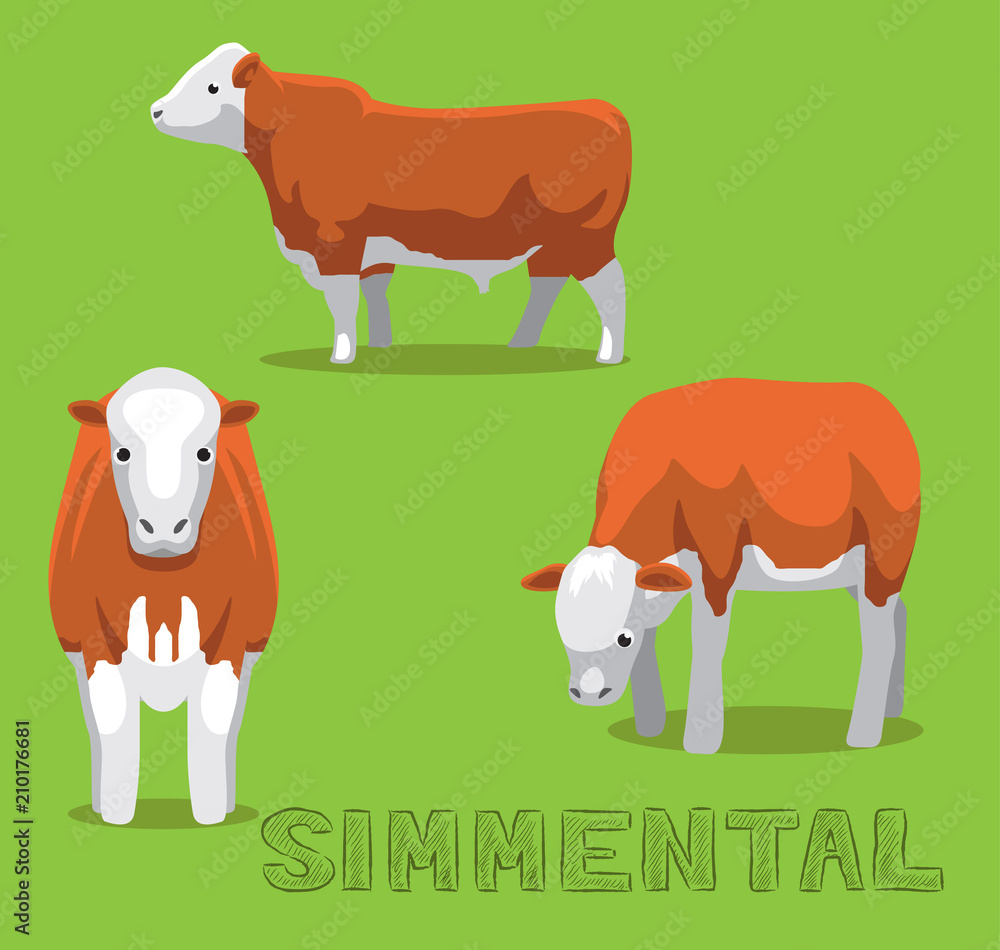 Cow Simmental Cartoon Vector Illustration Stock Vector | Adobe Stock