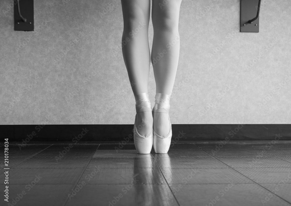 Black And White Ballet Dance Shoes