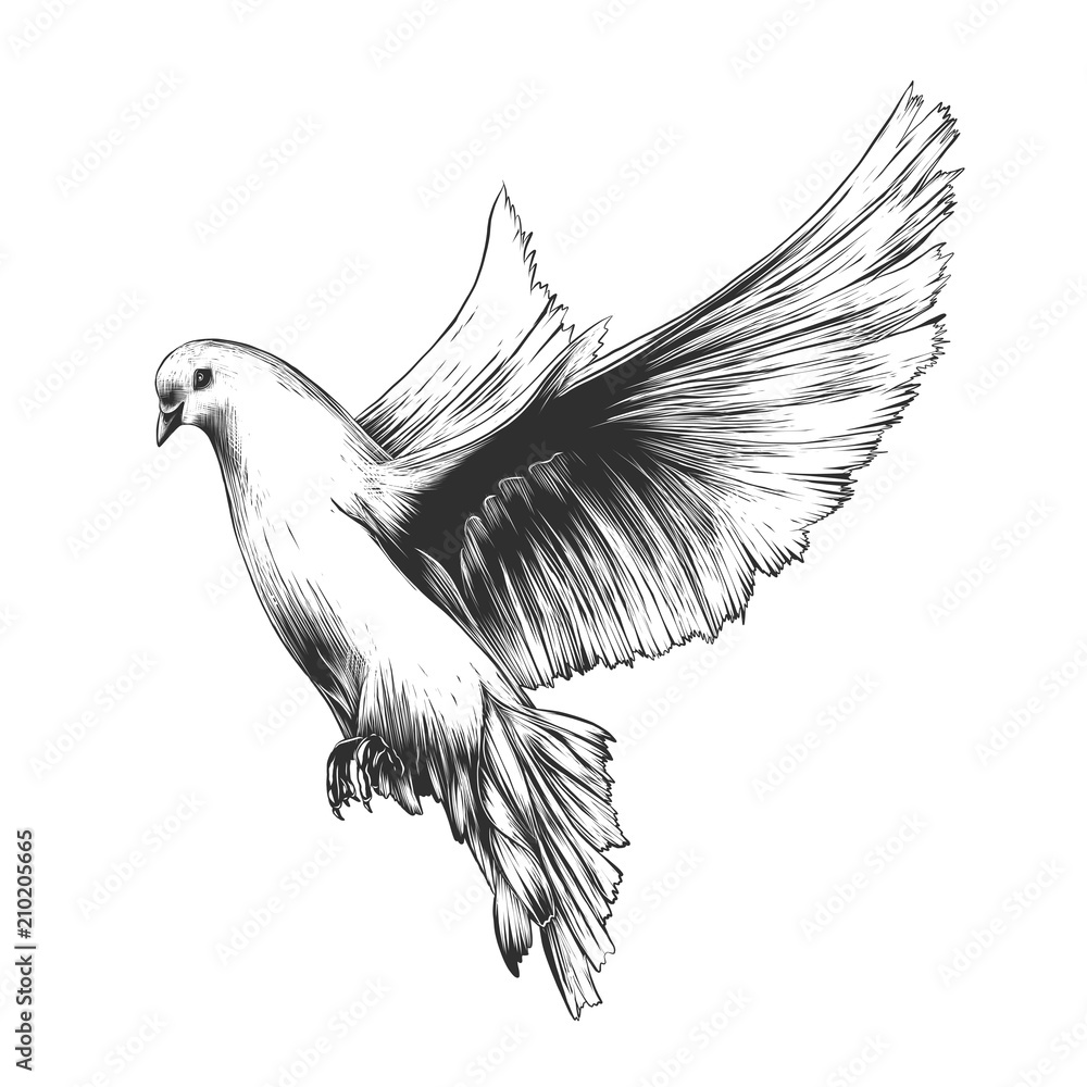 Vector engraved style illustration for posters, decoration and print ...