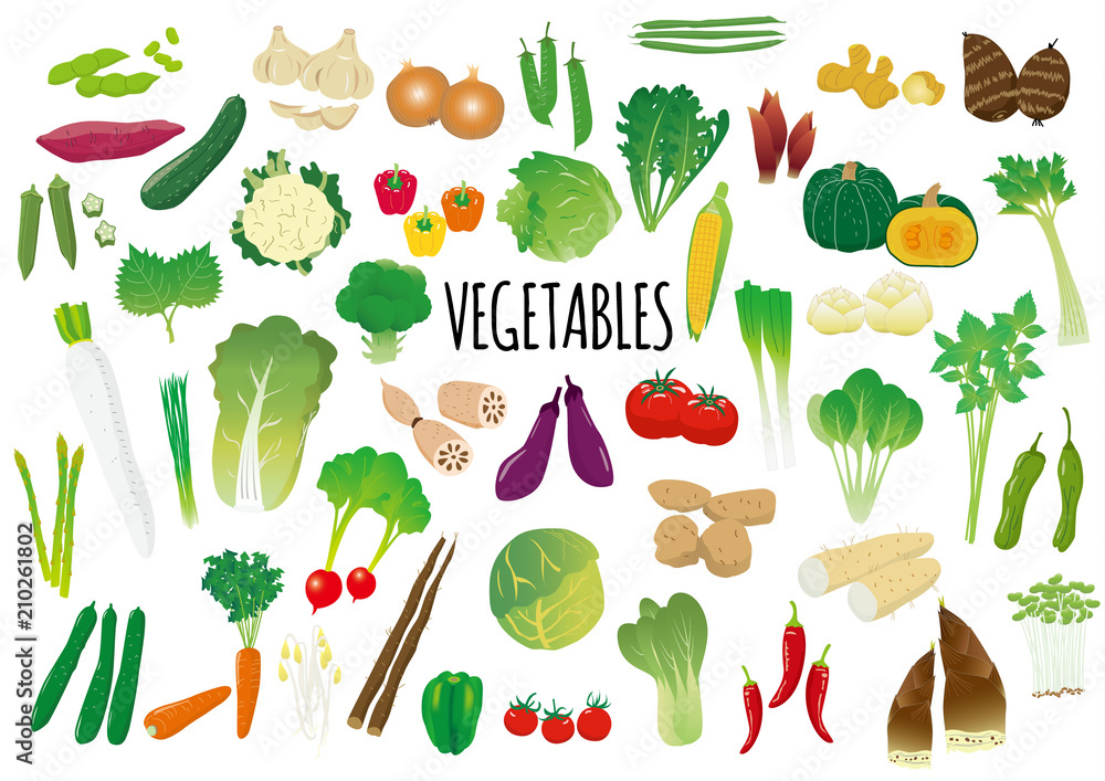 野菜のイラストセット เวกเตอร์สต็อก | Adobe Stock