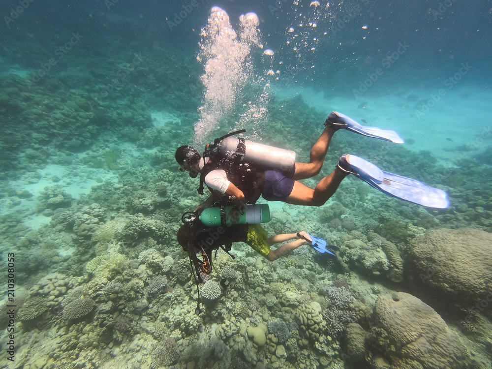 Diving people underwater in sea with corals and fish around, scuba ...